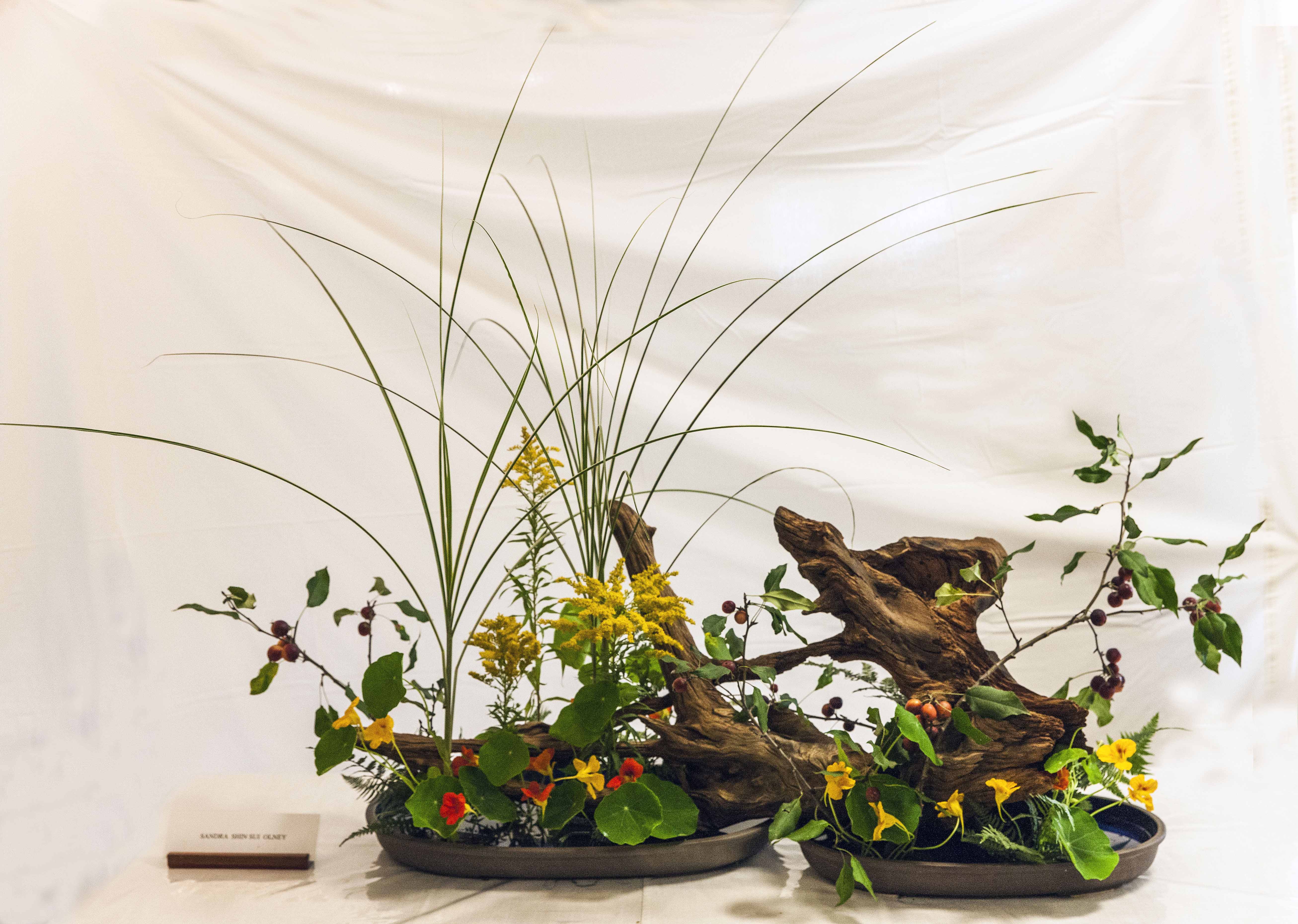 Gananoque Exhibition 2016 | Ohara School of Ikebana Ottawa Chapter
